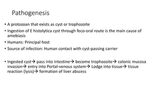 Infectious diseases of liver.pptx