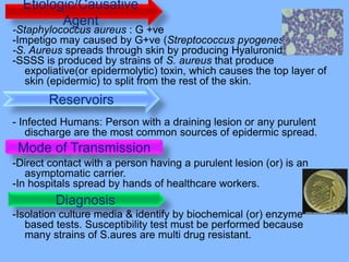 Infectious diseases of the skin and wound | PPTX