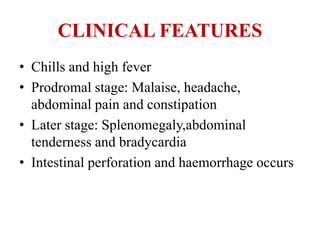 INFECTIOUS DISEASES PPT | PPTX