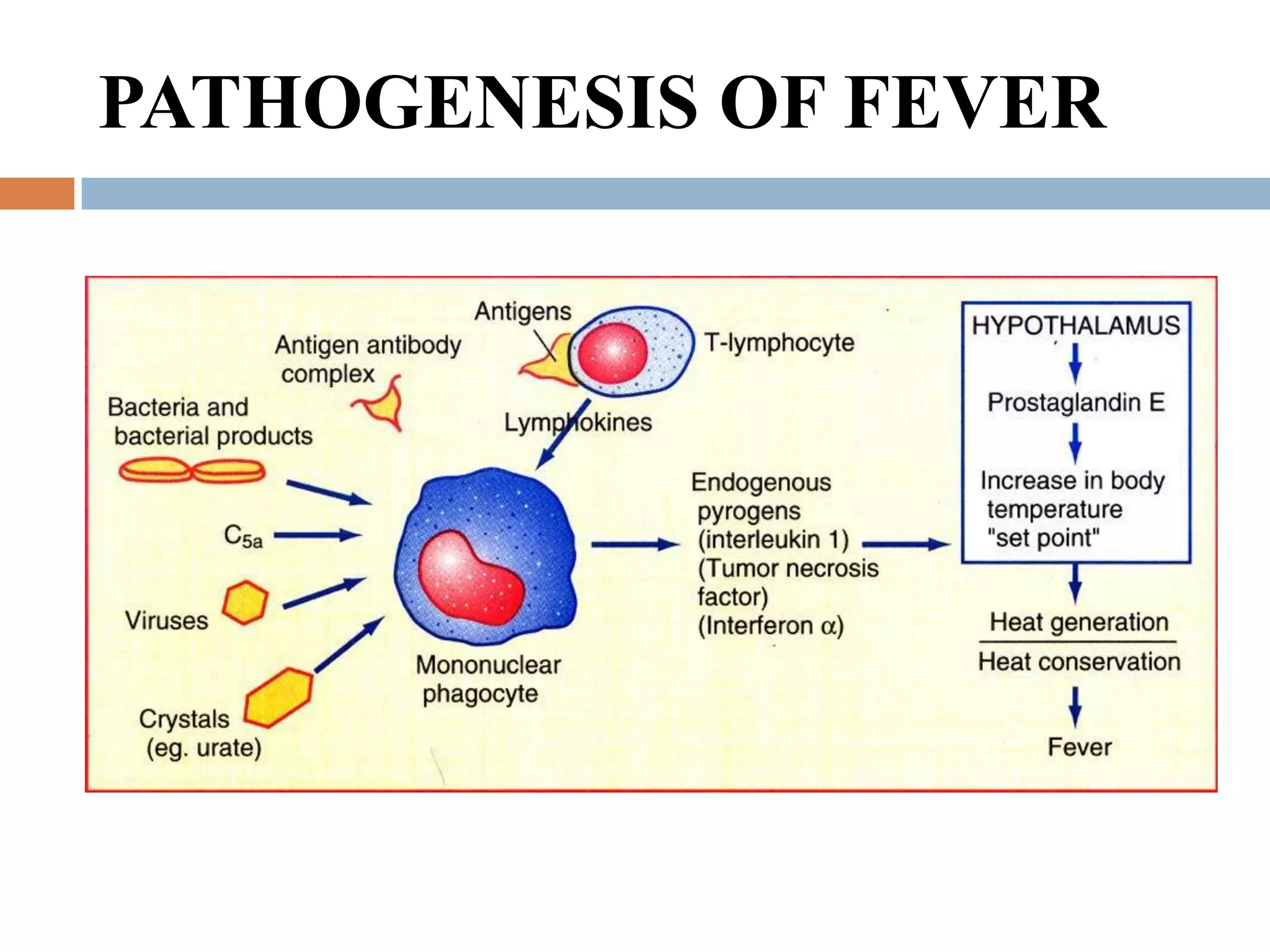 Infectious diseases puo | PPT