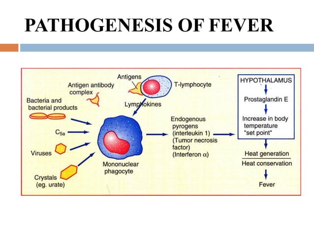 Infectious diseases puo | PPT