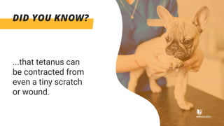 5 Interesting Facts about Infectious Diseases in Dogs and Cats | PDF