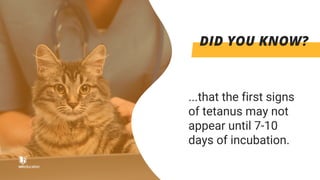 5 Interesting Facts about Infectious Diseases in Dogs and Cats | PPT