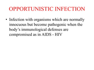 Infectious disease terminology.pptx