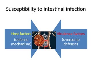 Infectious enteritis and food poisoning.pptx