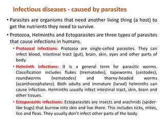 Infectious and Epidemic Diseases - Bacteria Virus Fungi and Parasites ...