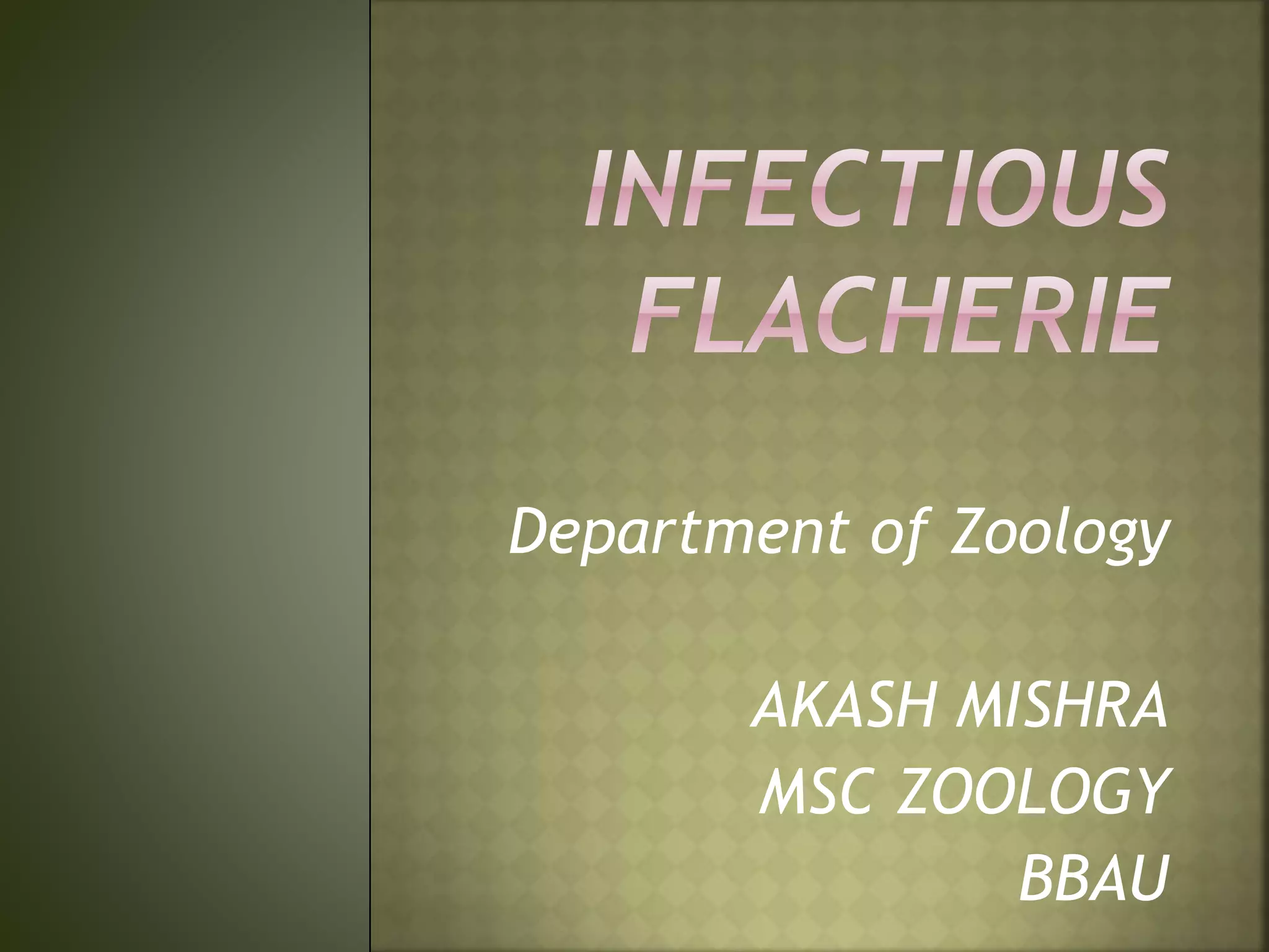 Infectious flacherie | PPTX