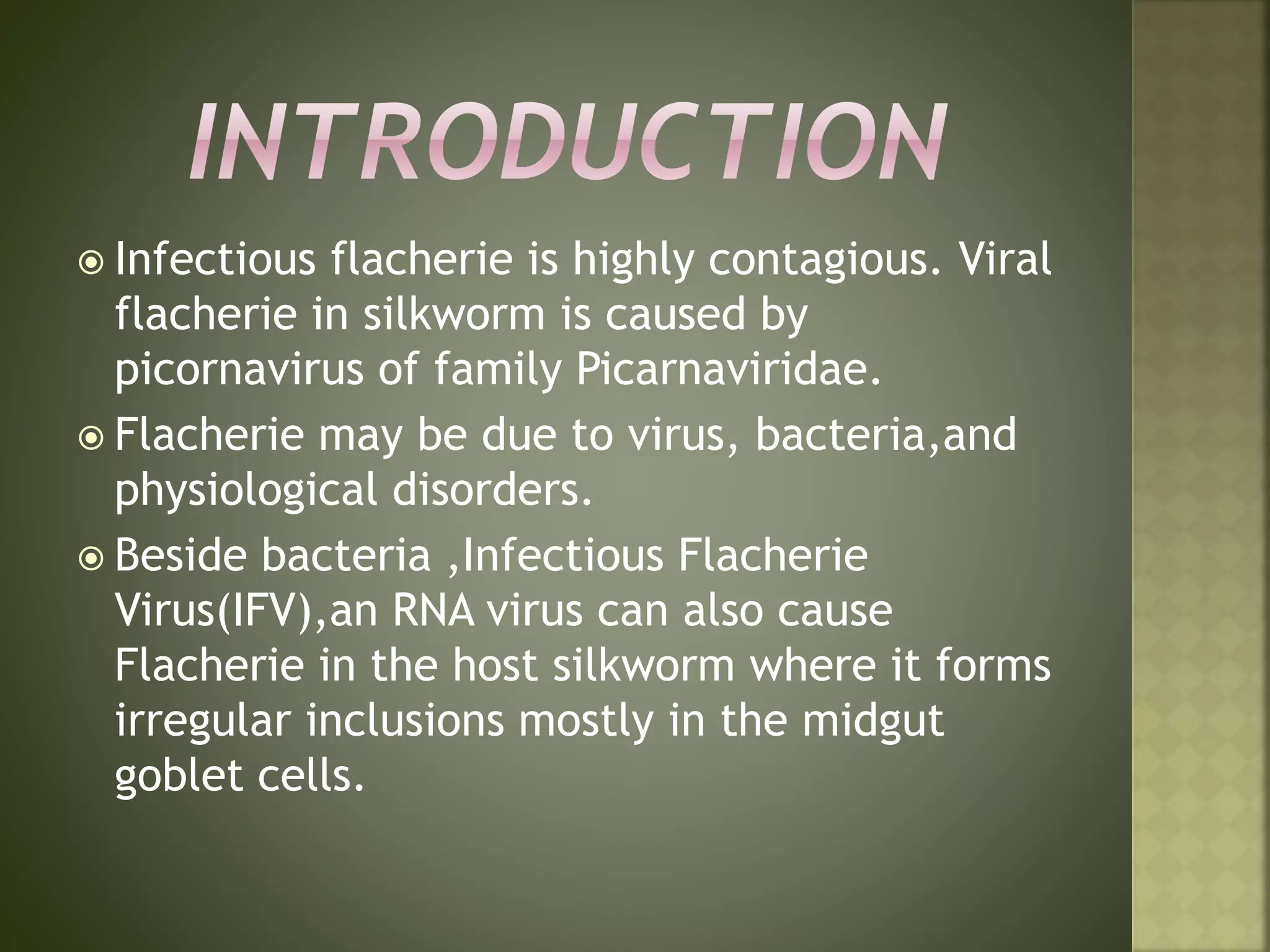 Infectious flacherie | PPTX