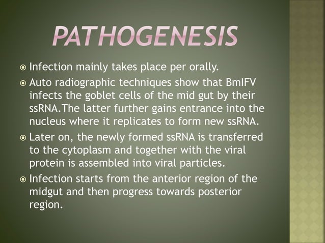 Infectious flacherie | PPT