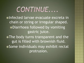 Infectious flacherie | PPT