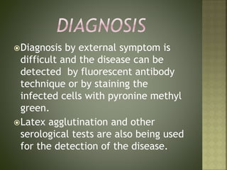 Infectious flacherie | PPT