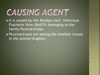 Infectious flacherie | PPT