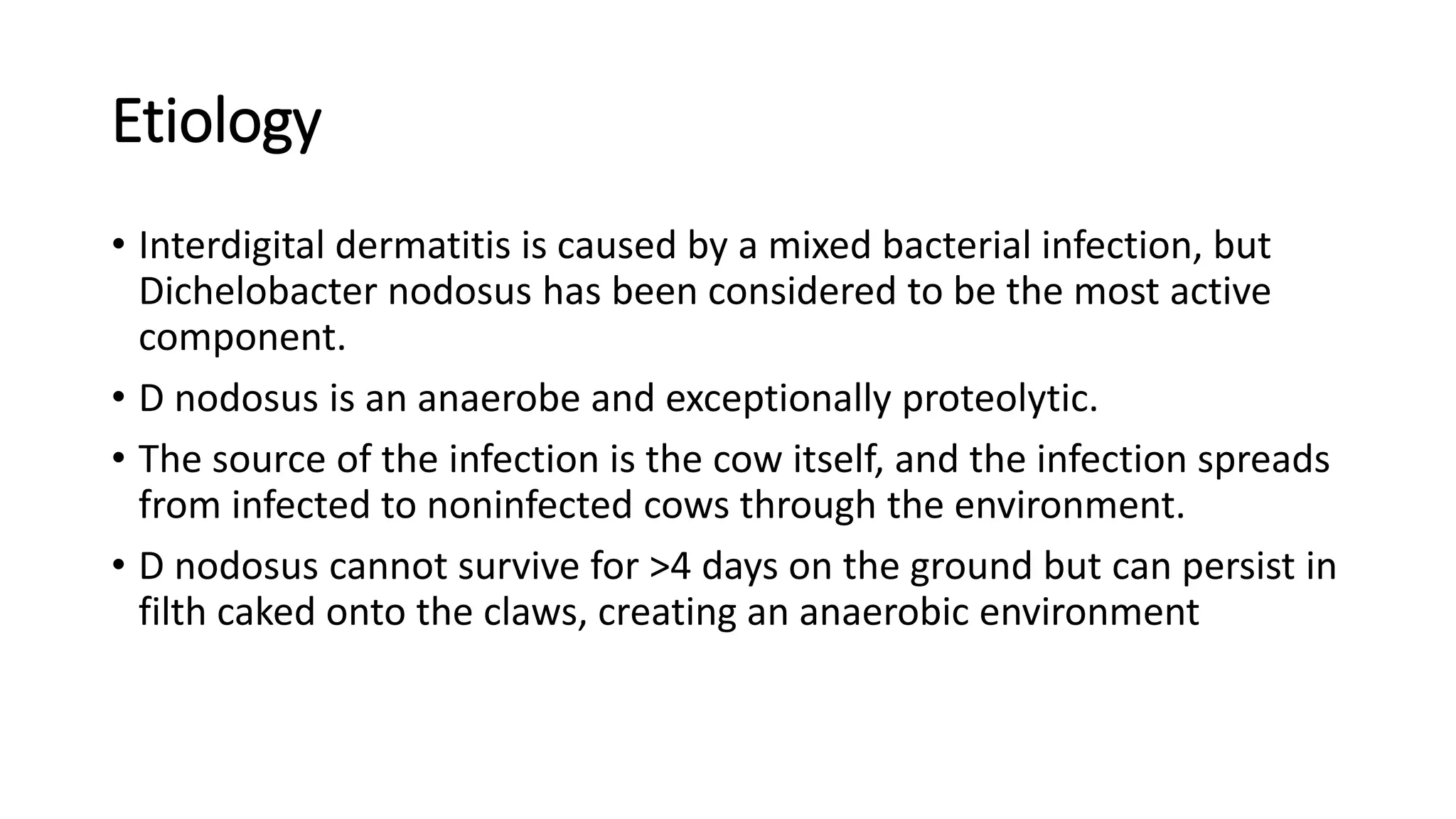 infectious foot rot.pptx