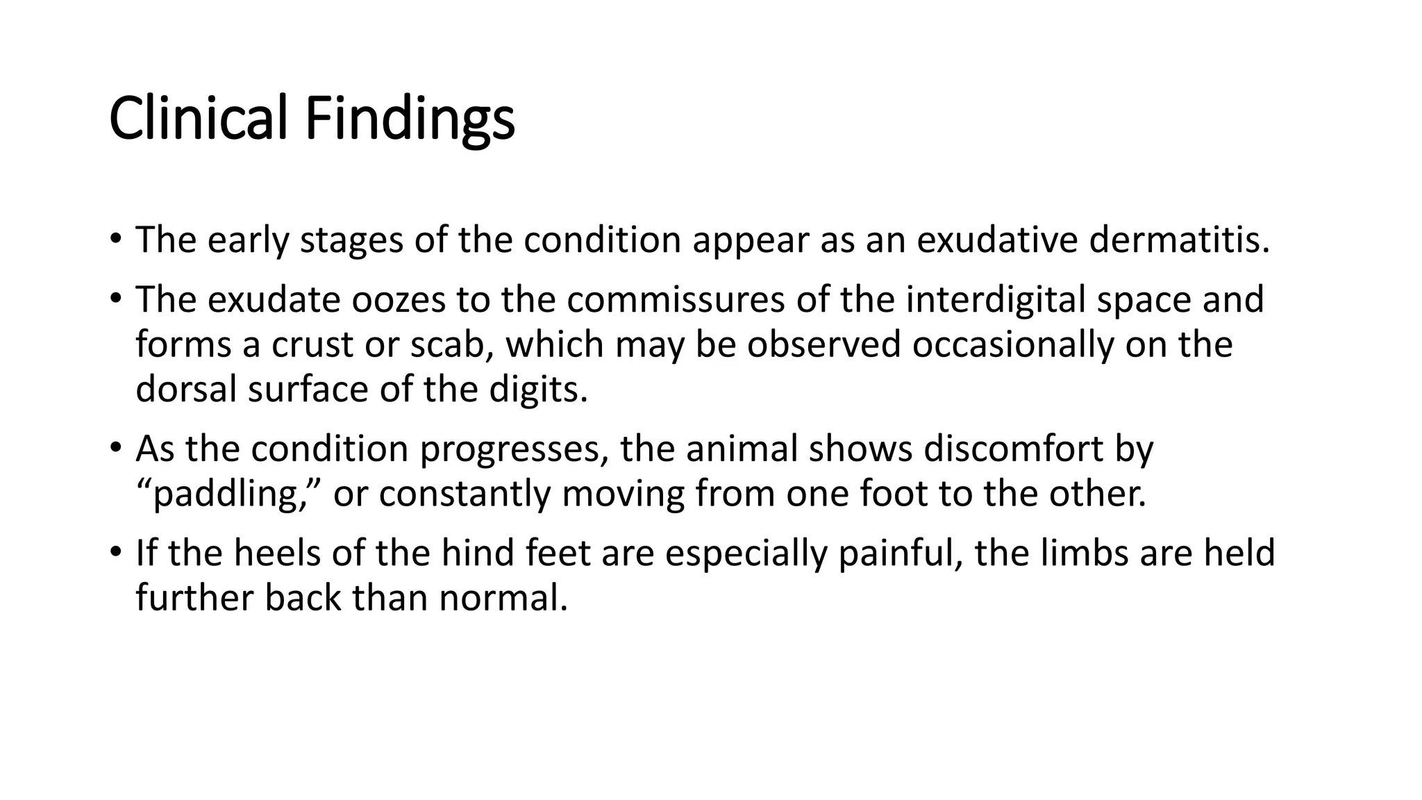 infectious foot rot.pptx
