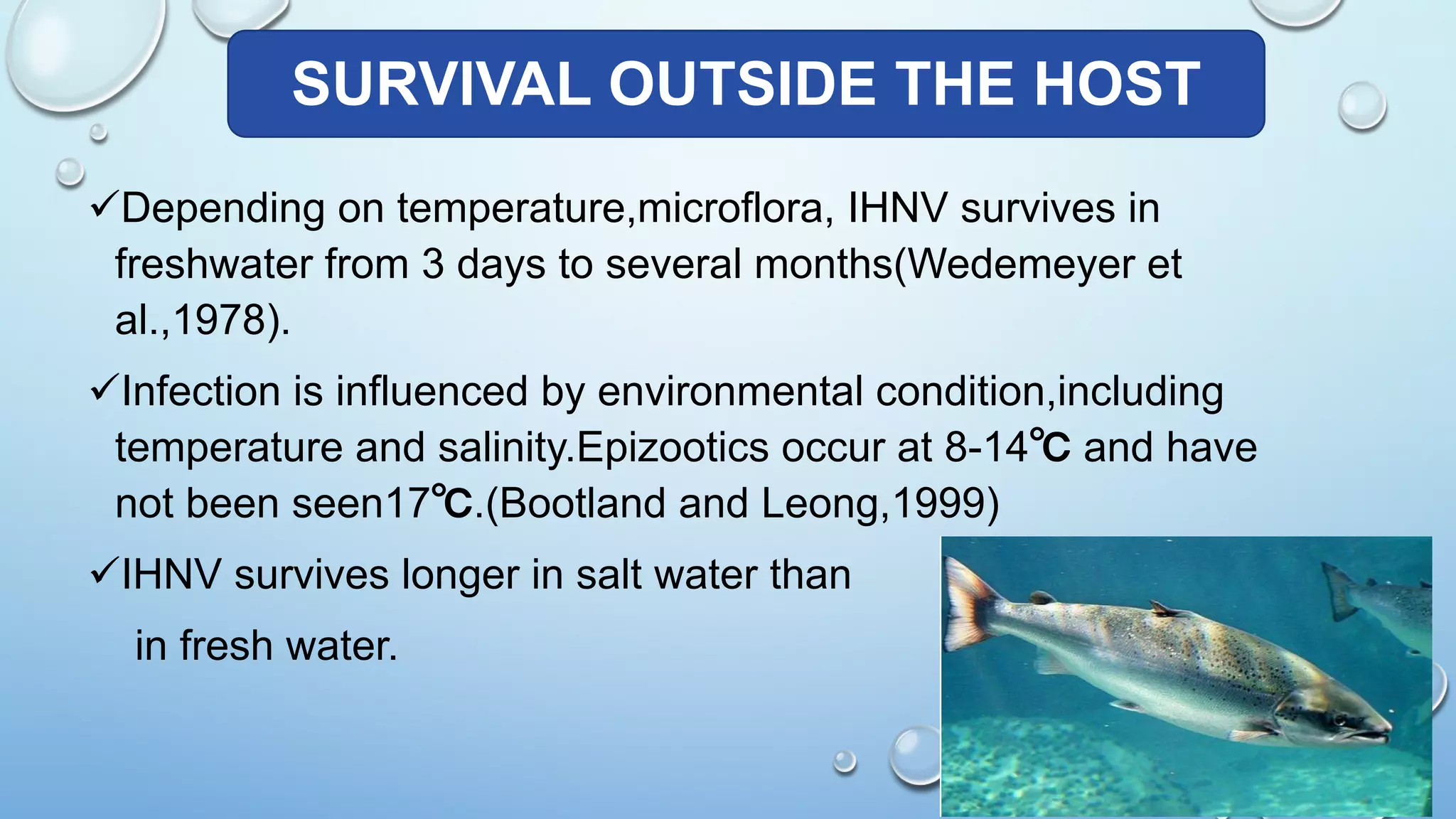 Infectious hematopoietic necrosis virus in finfish (IHNV) | PDF