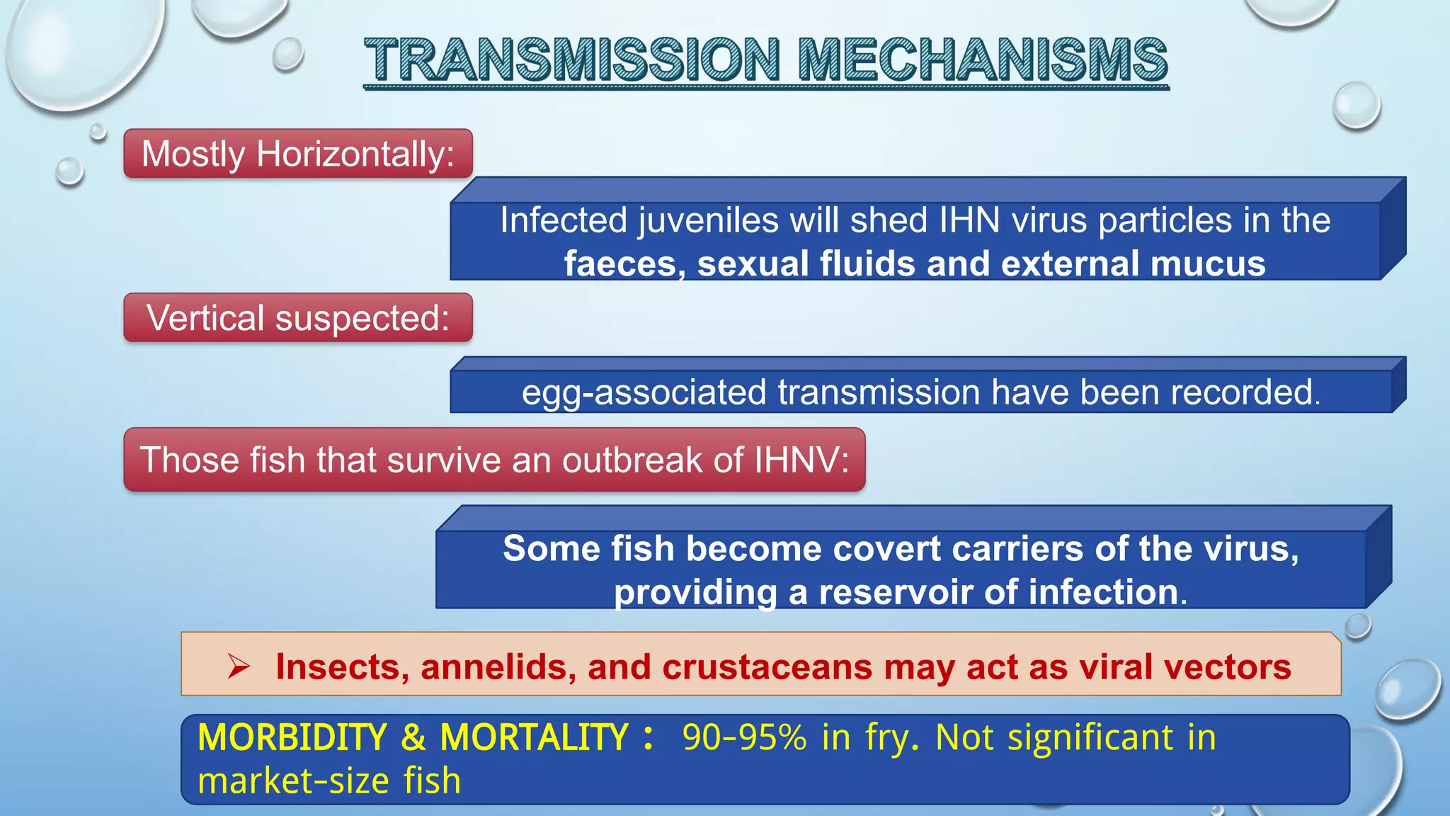 Infectious hematopoietic necrosis virus in finfish (IHNV) | PDF