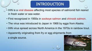 Infectious hematopoietic necrosis virus in finfish (IHNV) | PDF