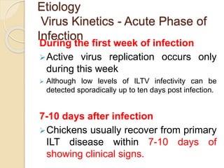 Infectiouslaryngotrachitisilt 141109163308-conversion-gate02 | PPTX