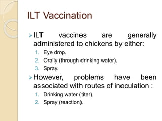 Infectiouslaryngotrachitisilt 141109163308-conversion-gate02 | PPTX