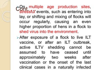 Infectiouslaryngotrachitisilt 141109163308-conversion-gate02 | PPTX