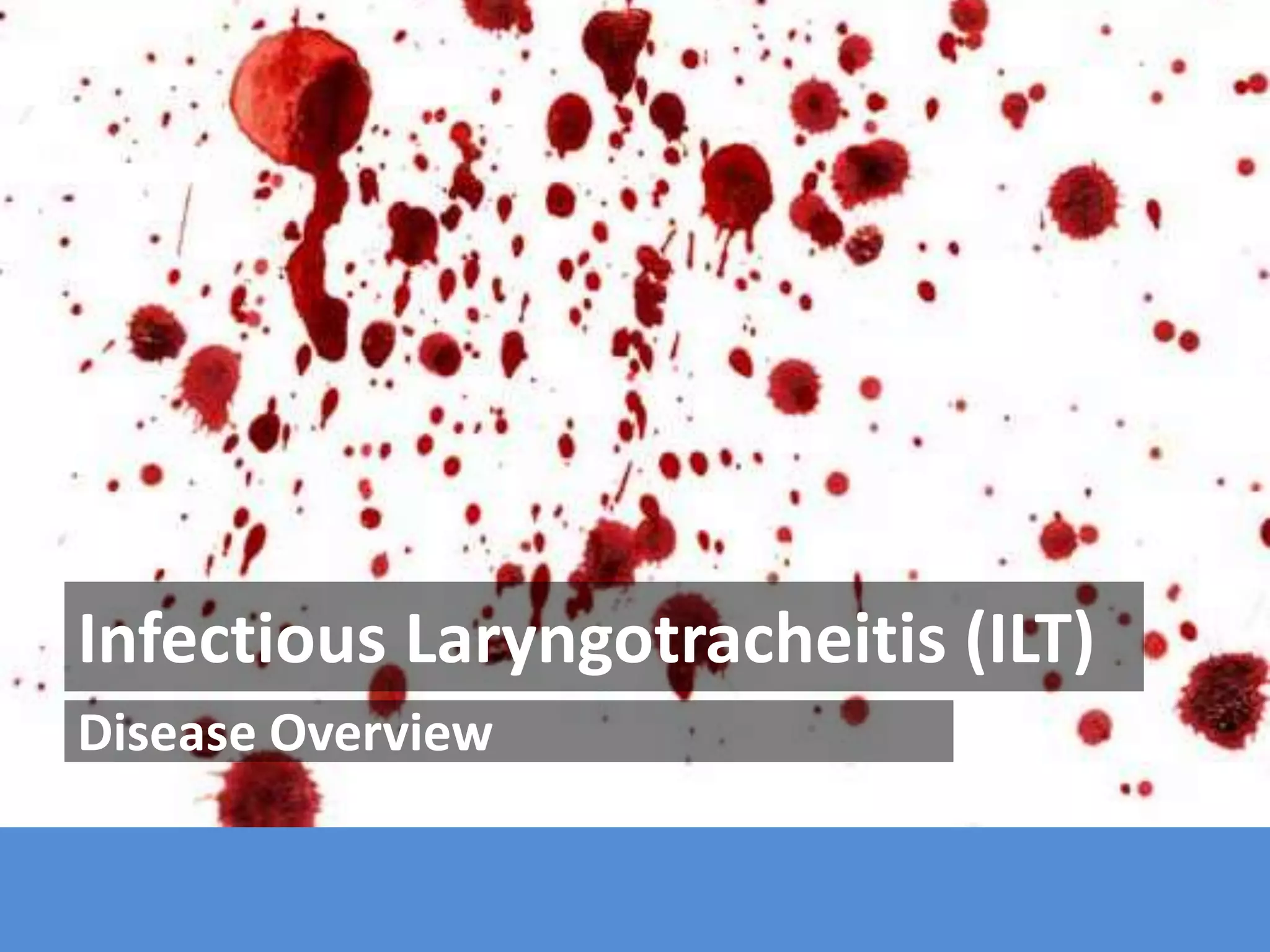 Infectious Laryngotrachitis ILT | PPTX