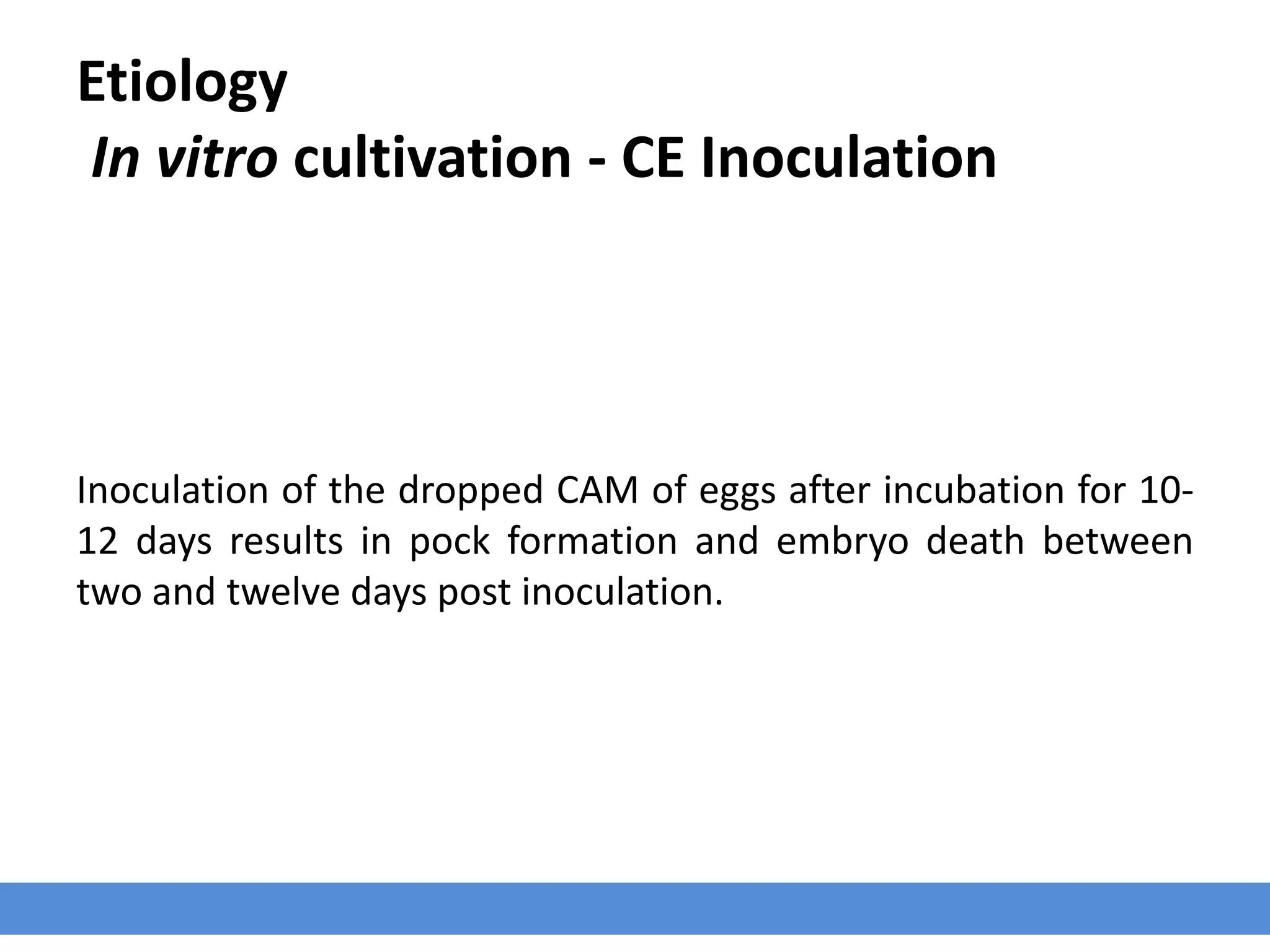 Infectious Laryngotrachitis ILT | PPTX