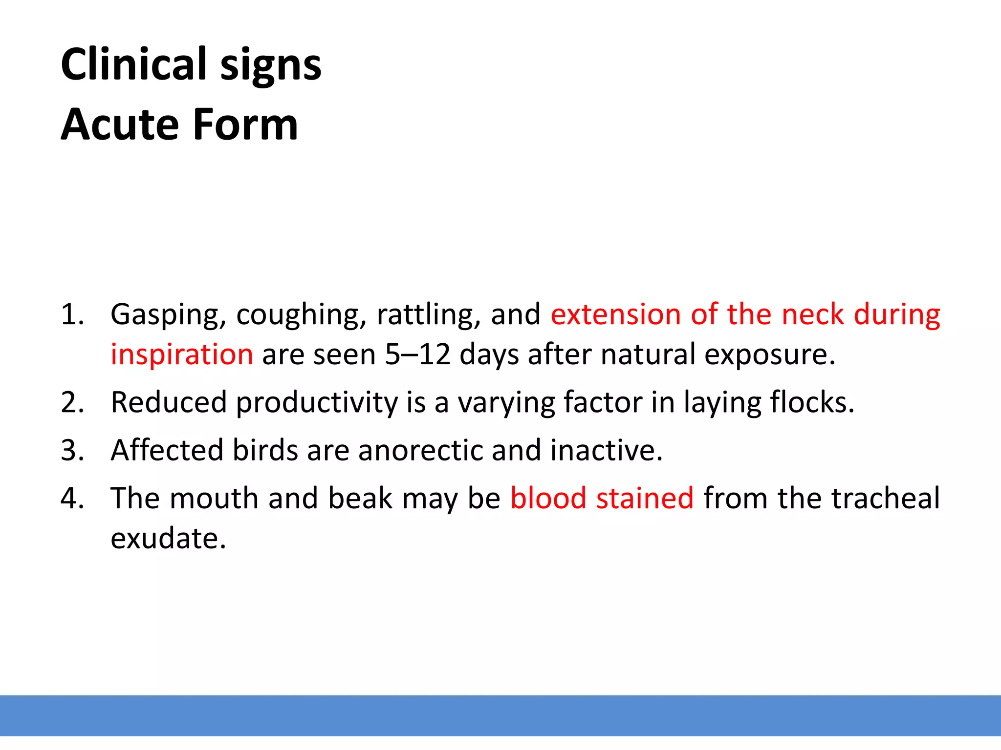 Infectious Laryngotrachitis ILT | PPTX