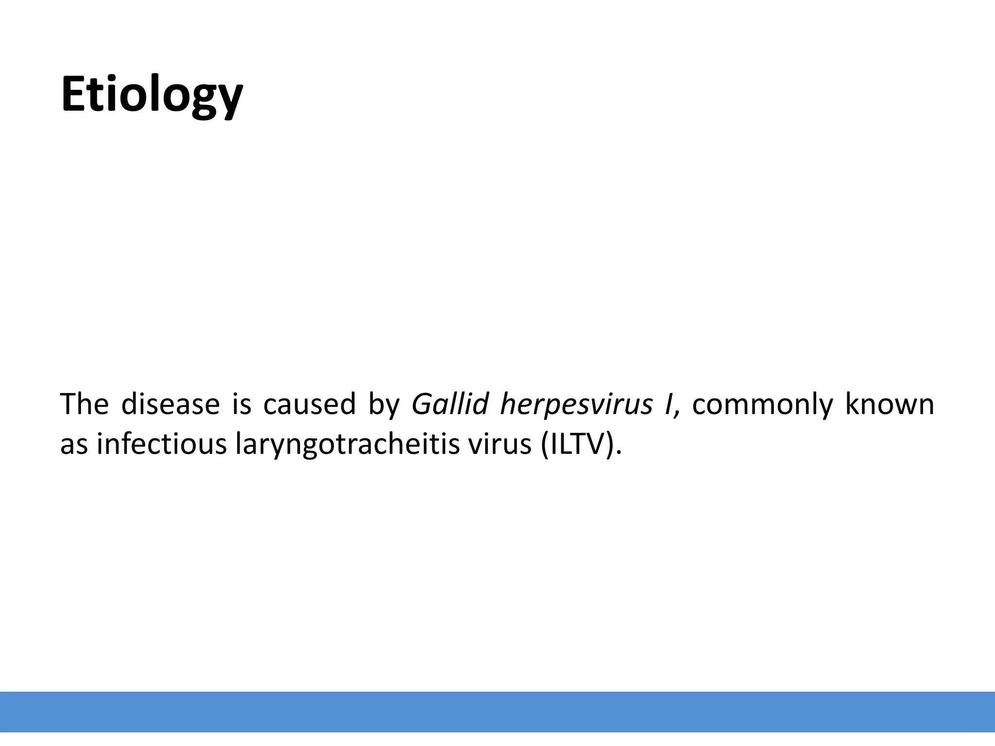 Infectious Laryngotrachitis ILT | PPTX