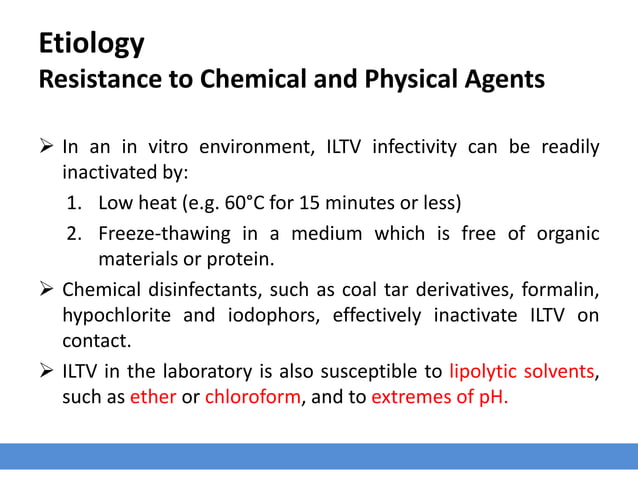 Infectious Laryngotrachitis ILT | PPTX | Infectious Diseases | Diseases ...