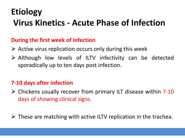 Infectious Laryngotrachitis ILT | PPTX | Infectious Diseases | Diseases ...