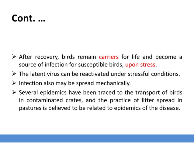 Infectious Laryngotrachitis ILT | PPTX | Infectious Diseases | Diseases ...