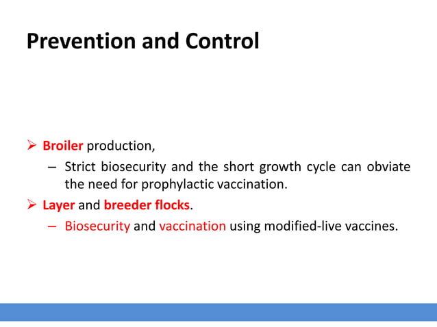 Infectious Laryngotrachitis ILT | PPTX | Infectious Diseases | Diseases ...
