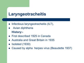 INFECTIOUS LYRENGEOTRACHOATIS.ppt | Infectious Diseases | Diseases and ...