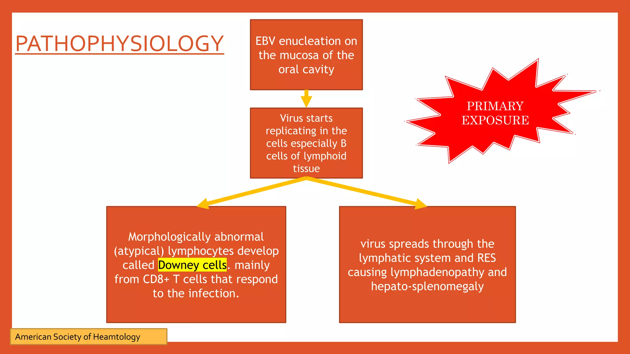 Infectious Mononeucleosis .pptx