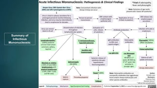 Infectious mononucleosis Made Extremely Simple!!! | PPTX