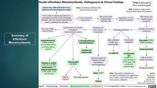 Infectious mononucleosis Made Extremely Simple!!! | PPT