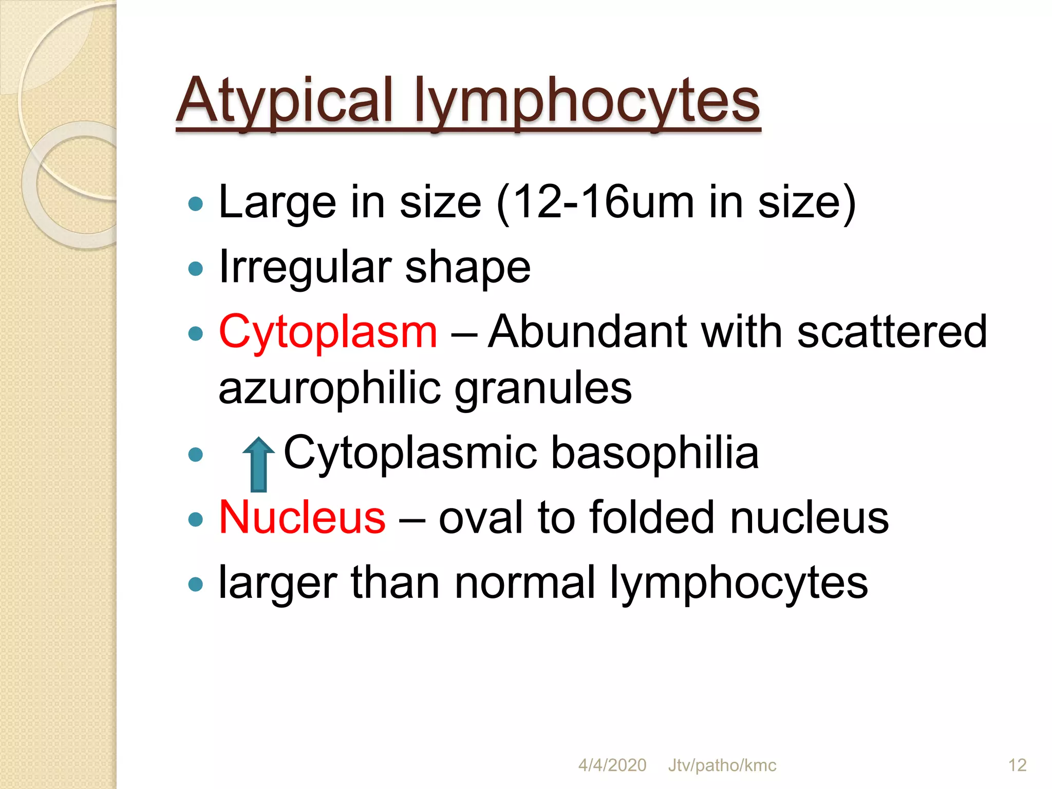 Infectious nucleosis jtvpathokmc | PPTX | Blood Disorders | Diseases ...