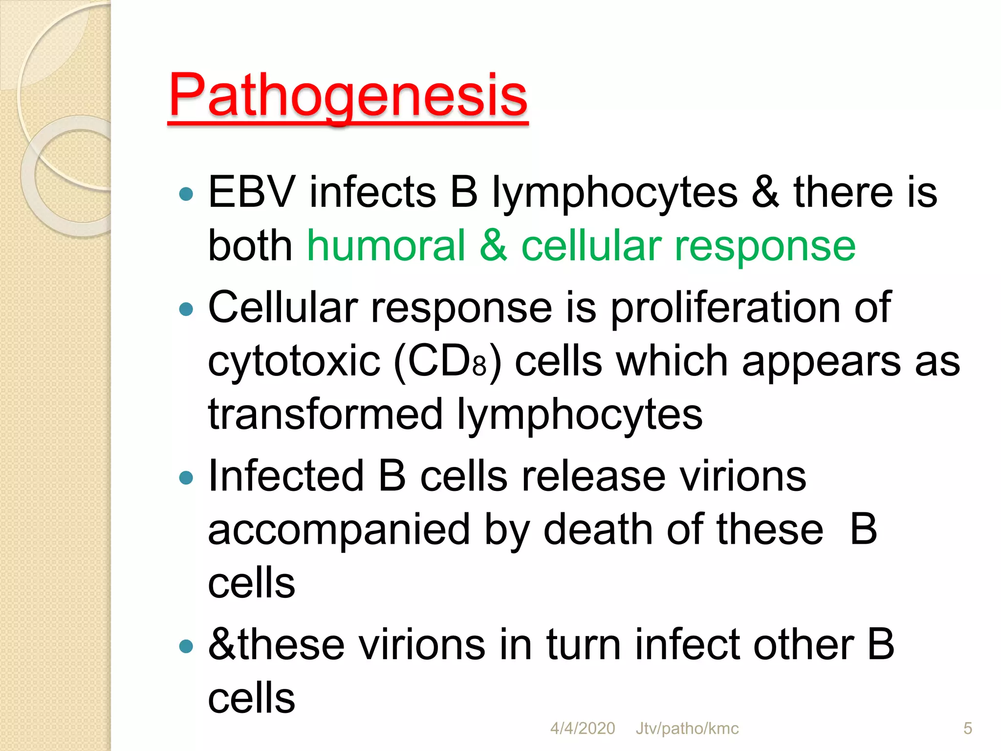Infectious nucleosis jtvpathokmc | PPTX | Blood Disorders | Diseases ...
