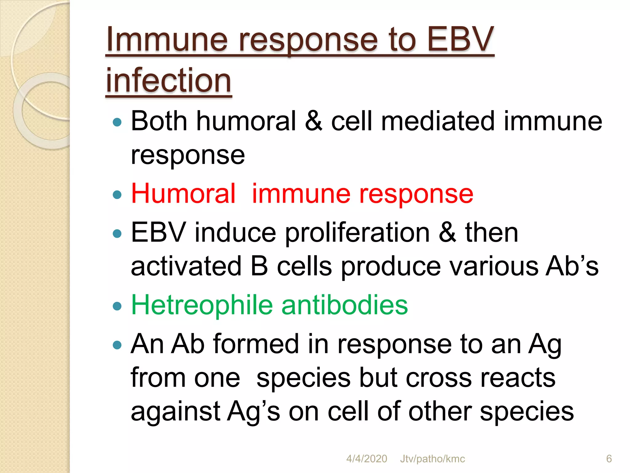Infectious nucleosis jtvpathokmc | PPTX