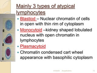 Infectious nucleosis jtvpathokmc | PPTX | Blood Disorders | Diseases ...