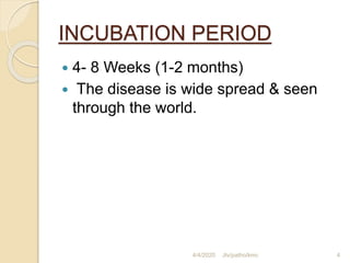 Infectious nucleosis jtvpathokmc | PPTX | Blood Disorders | Diseases ...