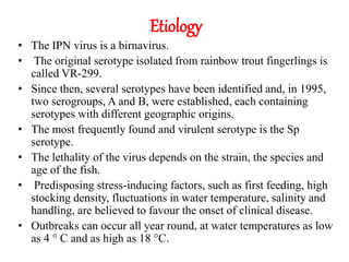 Infectious pancreatic necrosis | PPTX