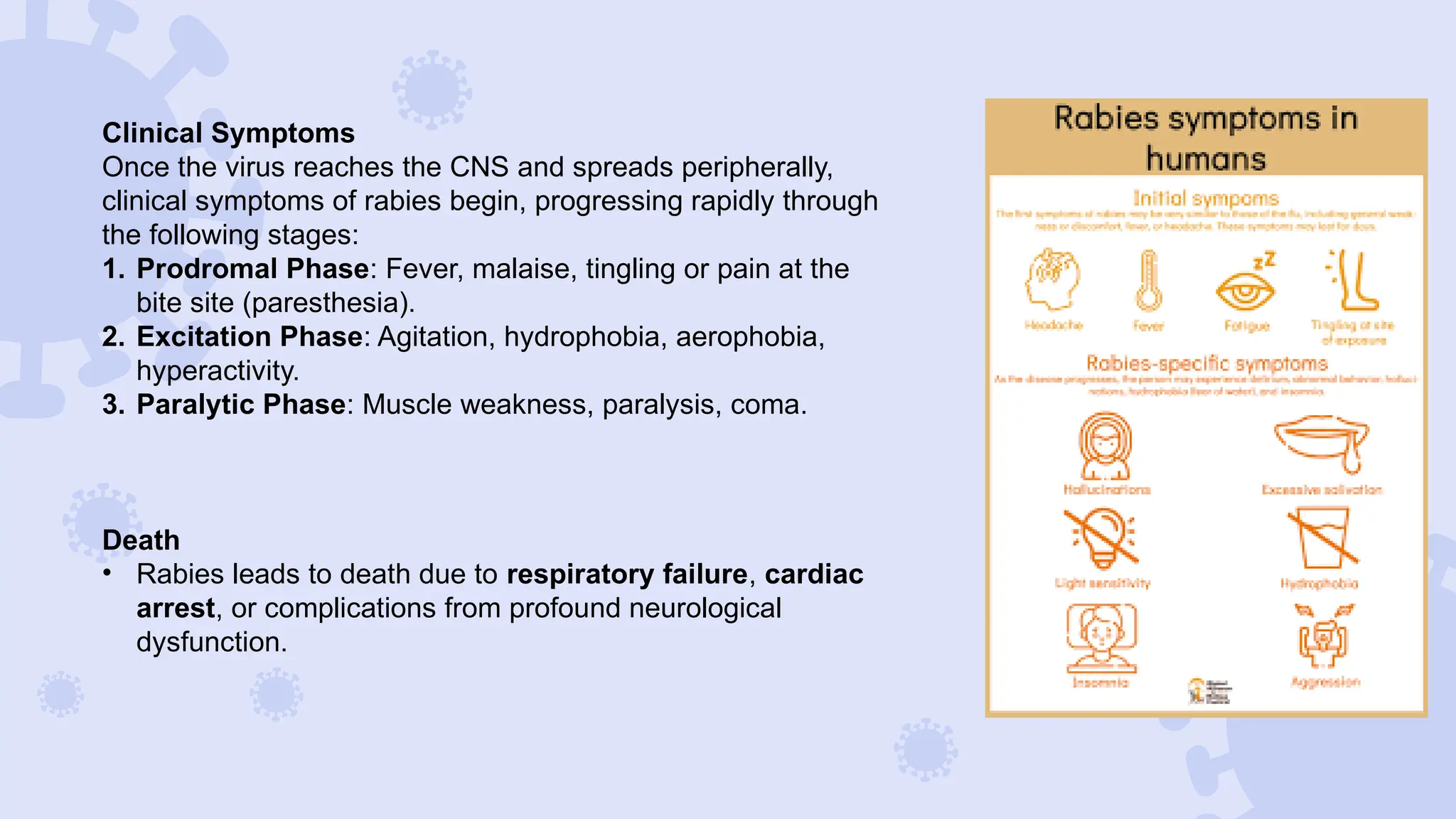Rabies disease infectious diseases .pptx