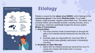 Rabies disease infectious diseases .pptx
