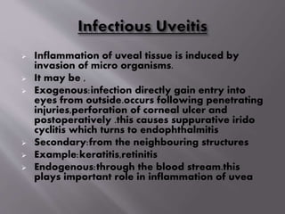 Infectious uveitis | PPTX | Eye and Vision Conditions | Diseases and ...