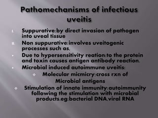 Infectious uveitis | PPTX | Eye and Vision Conditions | Diseases and ...