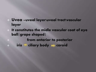 Infectious uveitis | PPTX