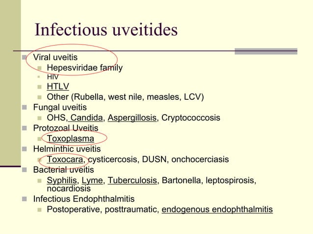 Infectious uveitis dr martinez (1) | PDF | Eye and Vision Conditions ...