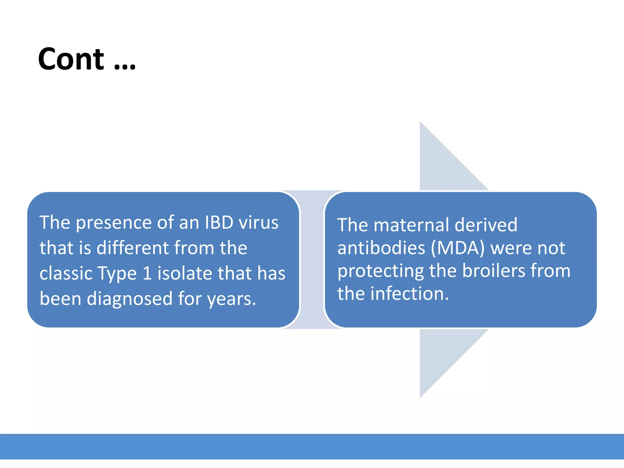 Infectious Bursal Disease Gumboro | PPTX