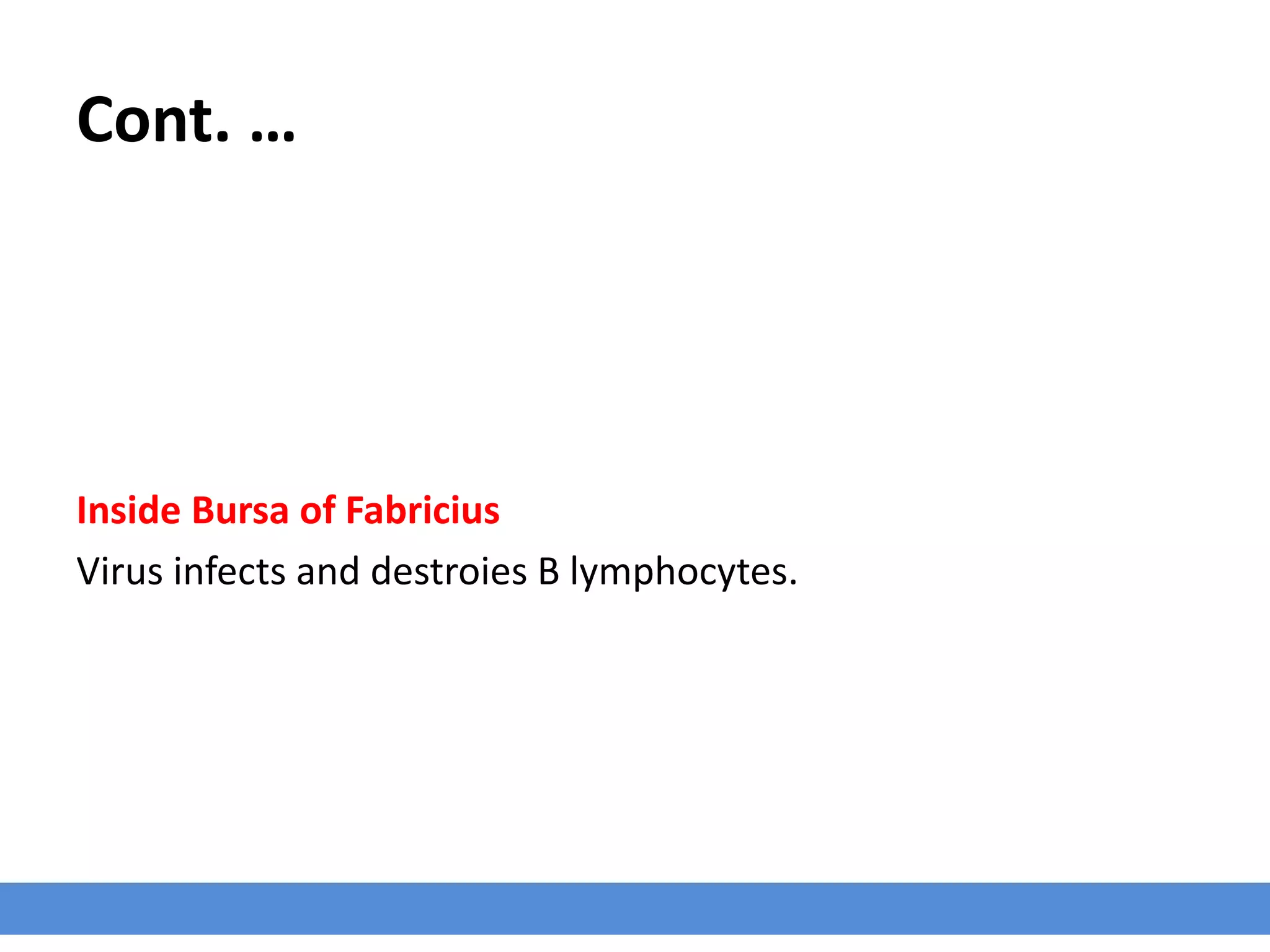 Infectious Bursal Disease Gumboro | PPTX
